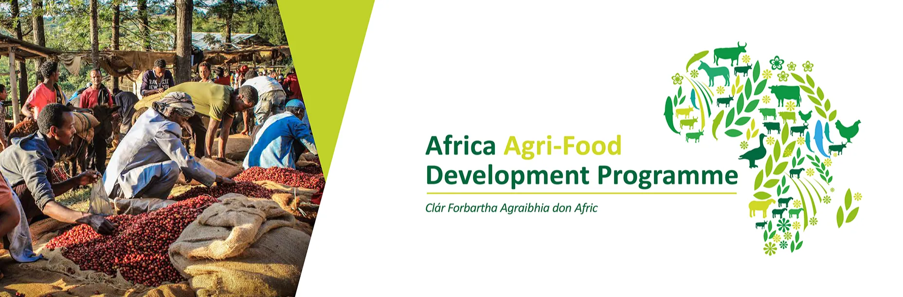 Africa Agri-Food Development Programme 2025/2026 for agri-food ...